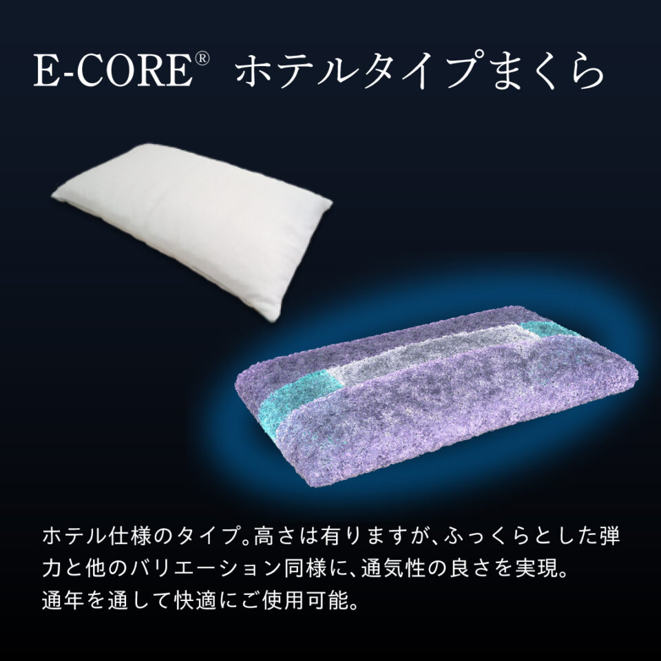 E-CORE®まくら（日本製） | SleepyBuddy